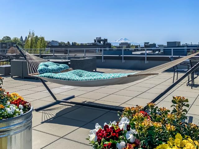 0 BR, 1 BA Apartment 1200 East Pike Street Unit 103, Seattle, WA 98122