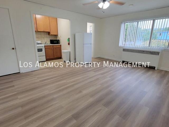 0 BR, 1 BA Apartment 1211 11th Street, Los Alamos, NM 87544