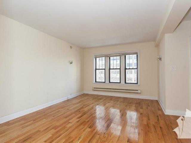 0 BR, 1 BA Apartment 1347 North Dearborn Street, Chicago, IL 60610