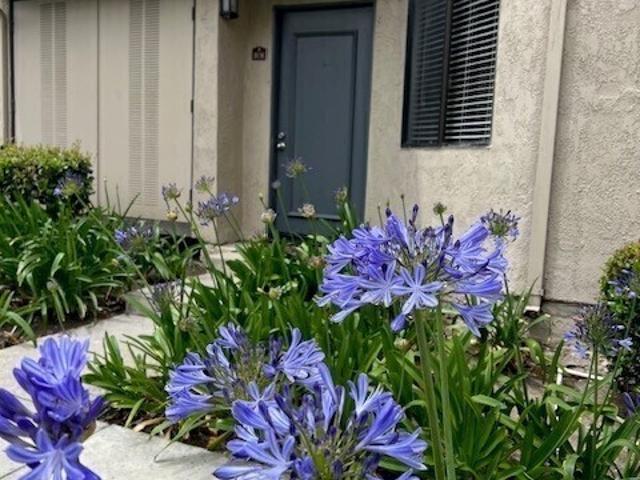 0 BR, 1 BA Apartment 2650 Harla Avenue, Costa Mesa, CA 92626