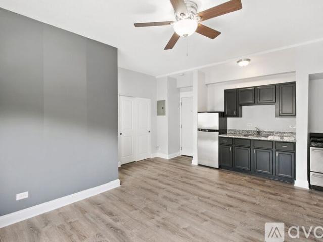 0 BR, 1 BA Apartment 4555 N Malden St, Unit 209, Chicago, IL 60640