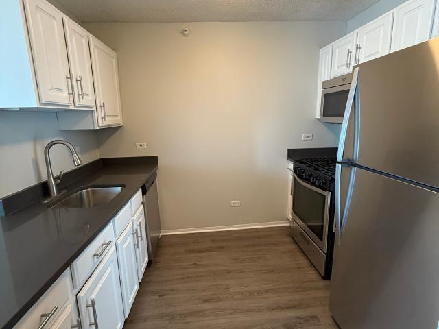 0 BR, 1 BA Apartment 544 N State, Chicago, IL 60654
