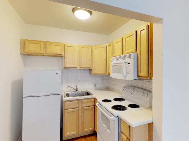 0 BR, 1 BA Apartment 5220 South Drexel Avenue Unit 213, Chicago, IL 60615