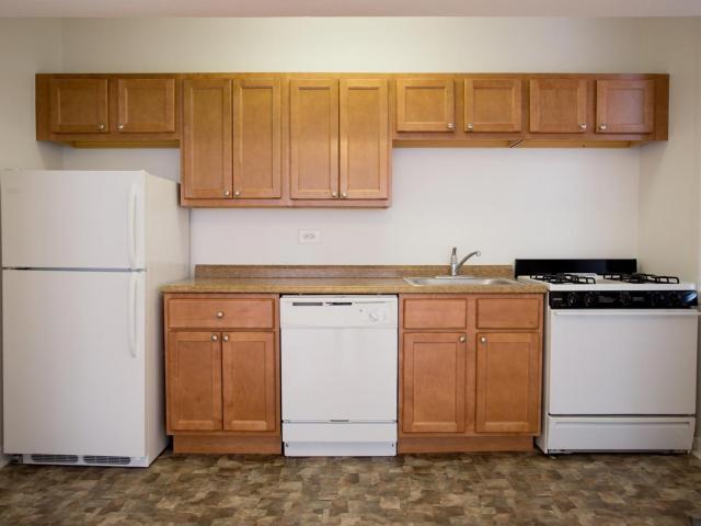 0 BR, 1 BA Apartment 5337 South Hyde Park Boulevard Unit 5337 207, Chicago, IL 60615