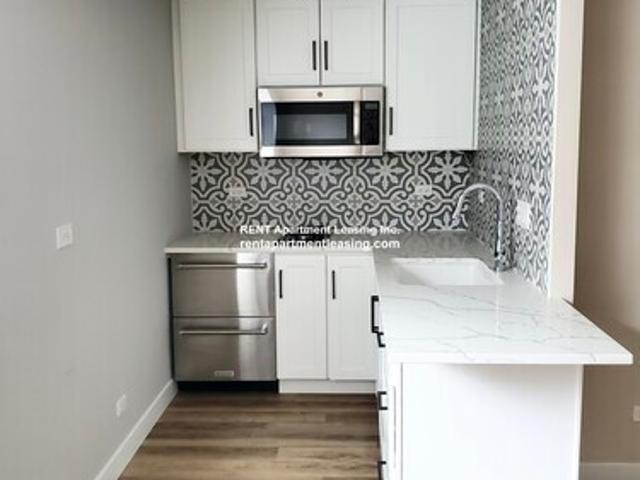 0 BR, 1 BA Apartment 663 W Grace St, Unit 511, Chicago, IL 60613