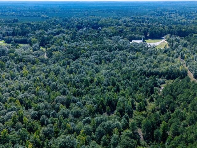 0 Branch Hebron Rd, Greenville, GA 30222 | MLS #226567 | Compass