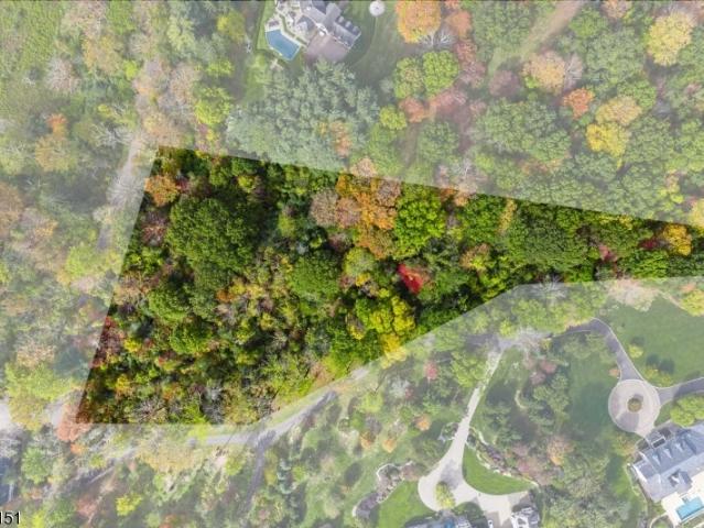0 Branch Rd, Far Hills, NJ 07931 | MLS #4005