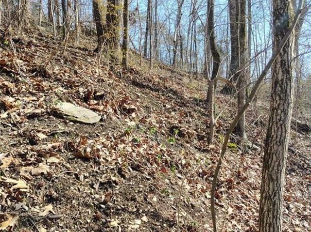 0 Braswell Rd, Rockmart, GA 30153 | MLS #7712 | Compass