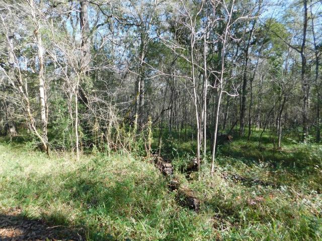 0 Brazos River Drive