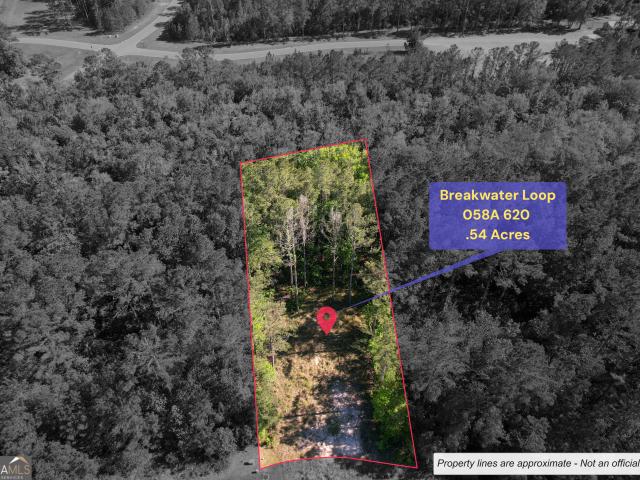 0 Breakwater Loop, Kingsland, GA 31548 | MLS #10730