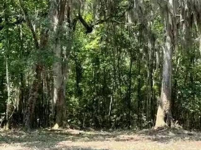 0 Briar Patch Lot #28 Pl, Townsend, GA 31331 MLS 10332890