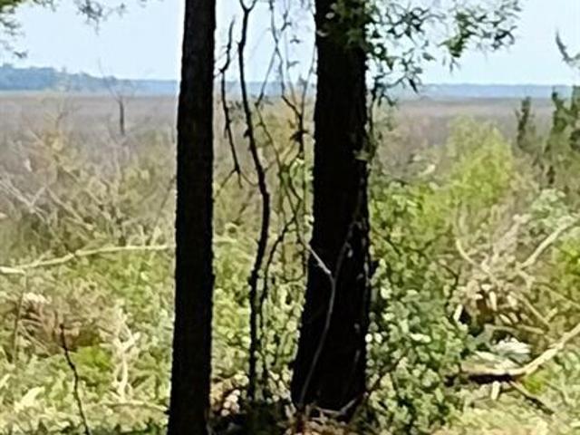 0 Briar Patch LOT 29 Place