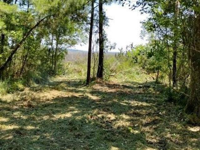 0 Briar Patch Pl, Lot 28, Townsend, GA 31331 | MLS #10645
