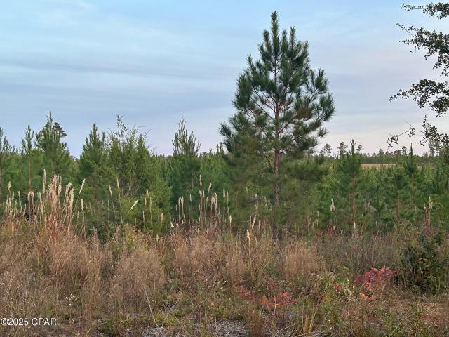 0 Bright Prospect Rd, Marianna, FL 32448 | MLS #782114 | Compass