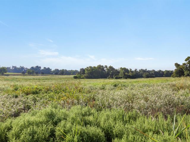 0 Brown College Ln, Lot 6, Washington, TX 77880 | MLS #96872 | Compass