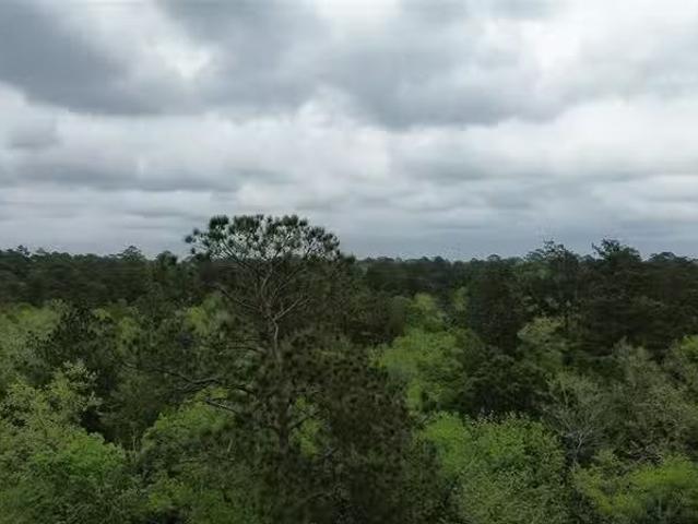 0 BROWN Rd, Saratoga, TX 77585
