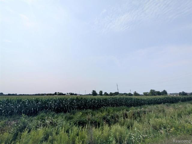 0 Brown. Road