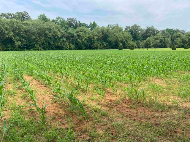 0 Bruce Rd, Whiteville, TN 38075 | MLS #10213 | Compass