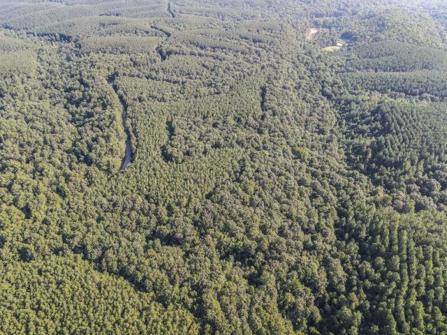 0 Brush Creek Rd