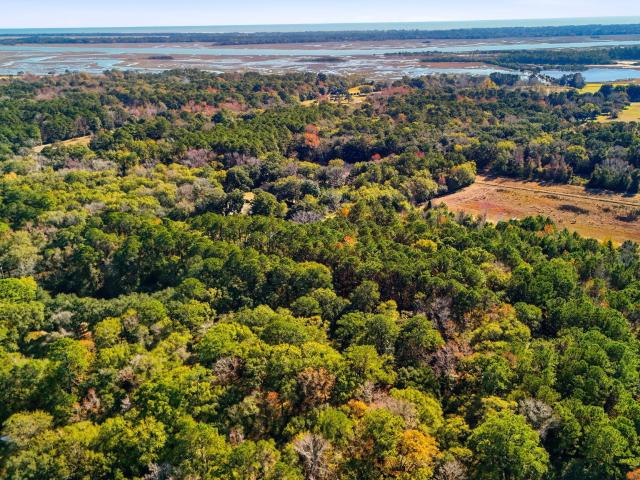 0 Bryans Dairy Rd, Johns Island, SC 29455 | MLS #25033