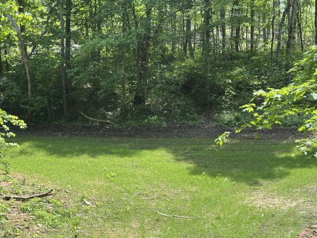 0 Cub Creek Rd