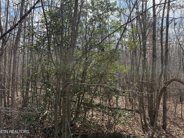 0 Cumberland Lakes Drive
