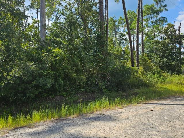 0 Cutchens Rd, Southport, FL 32409 | MLS #778639 | Compass