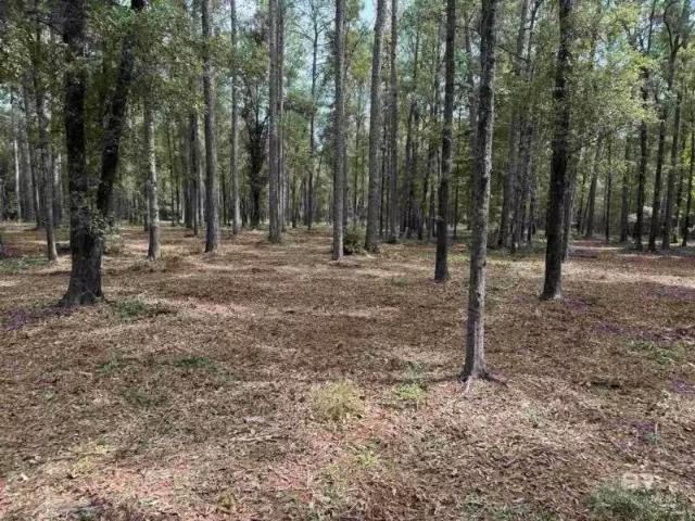 0 C C TRAIL, SATSUMA, AL 36572 Single Family Residence For Sal.