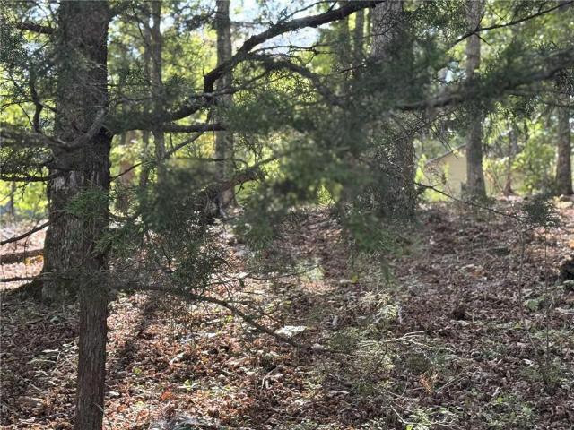 0 Cagle Rd NE, Rydal, GA 30171 | MLS #7649