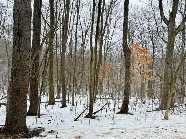 0 Cadogen Slatelick Rd, Kittanning, PA 16201 | MLS #1740 | Compass