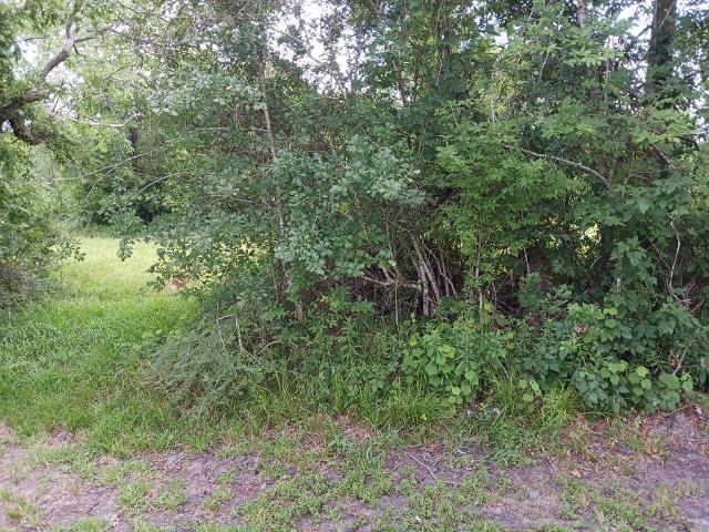 0 Cahill Rd, Angleton, TX 77515 | MLS #40956