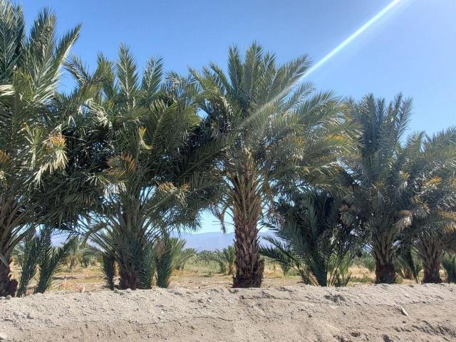 0 Calhoun St, Coachella, CA 92236 | MLS #219117 | Compass