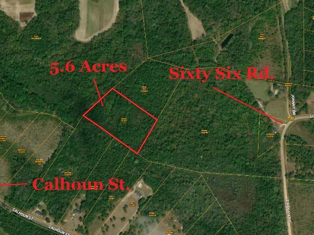 0 Calhoun St, Branchville, SC 29432 | MLS #25018