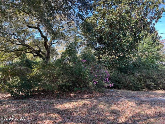 0 Camelia Dr, Pass Christian, MS 39571 | MLS #4140