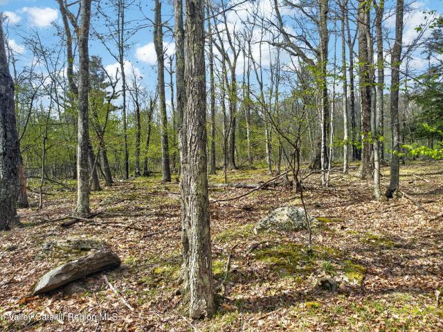 0 Camp Schoharie Road