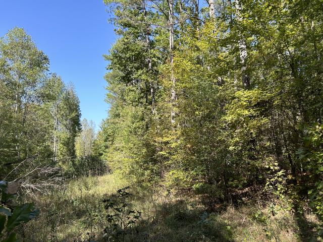 0 Camp Rd
