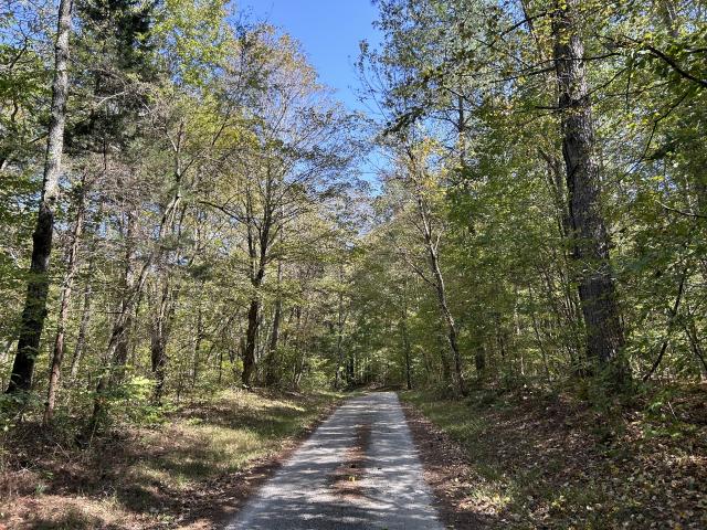 0 Camp Rd, Hohenwald, TN 38462 | MLS #2746 | Compass