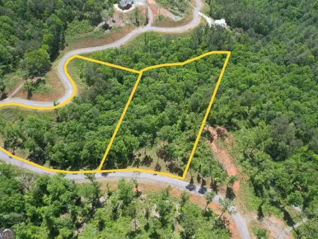 0 Canoe Point, Ellijay, GA 30540 MLS 10495791