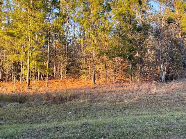 0 canoochee bypass road