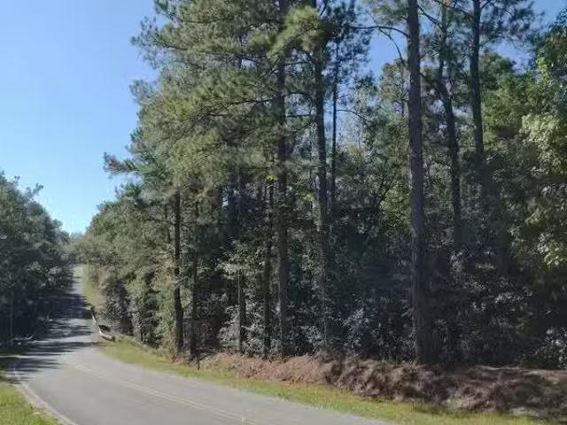0 CANAAN ROAD, STOCKTON, AL 36579 Vacant Land For Sale MLS# 3.