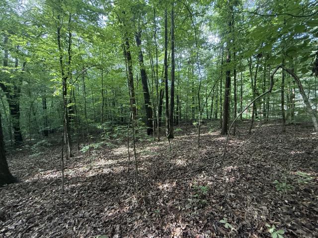 0 Caney Creek Rd