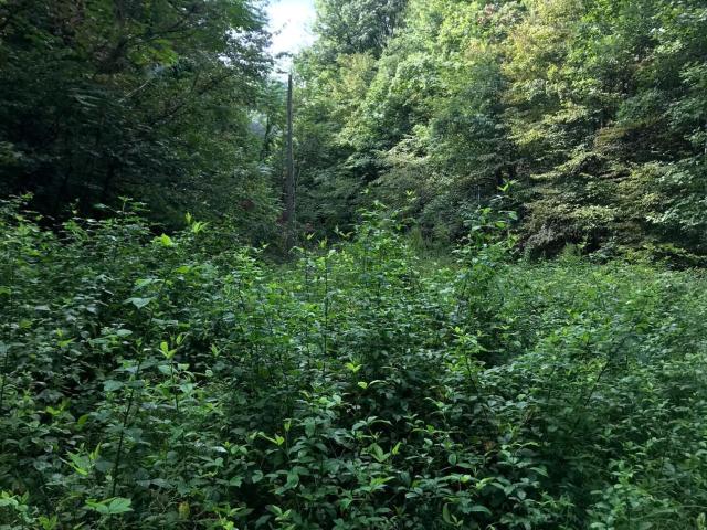 0 Cane Creek Mtn. Road