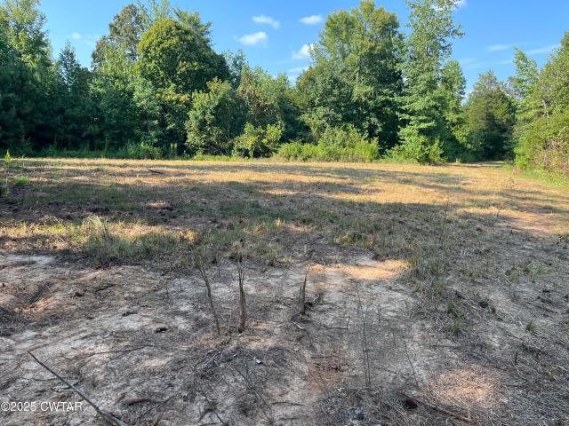 0 Cane Creek Rd, Lexington, TN 38351 | MLS #242443