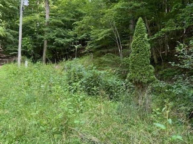 0 Cane Mountain Lane