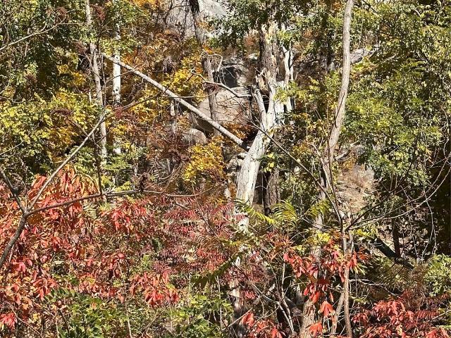 0 Cascada Vista Dr, Black Mountain, NC 28711 | MLS #4331