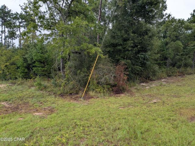 0 Castillo Dr, Alford, FL 32420 | MLS #776877 | Compass
