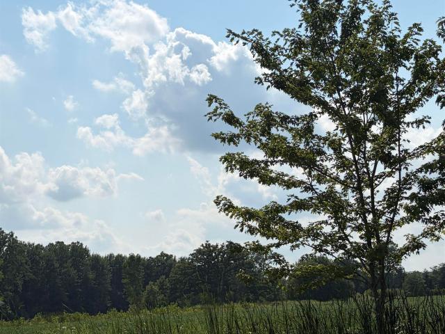 0 Capac Road