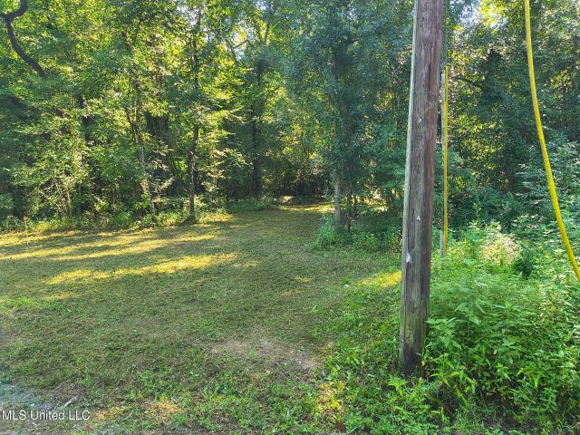 0 Carter Lake Dr, Lucedale, MS 39452 | MLS #4123