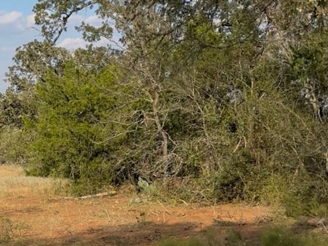 0 Carter Rd, Dale, TX 78616 | MLS #4315 | Compass