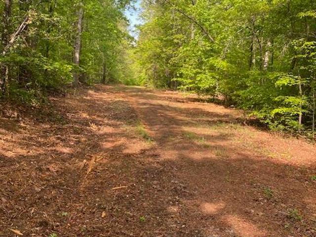 0 Carters Gate Rd, Ruther Glen, VA 22546 | MLS #VACV2010 | Compass
